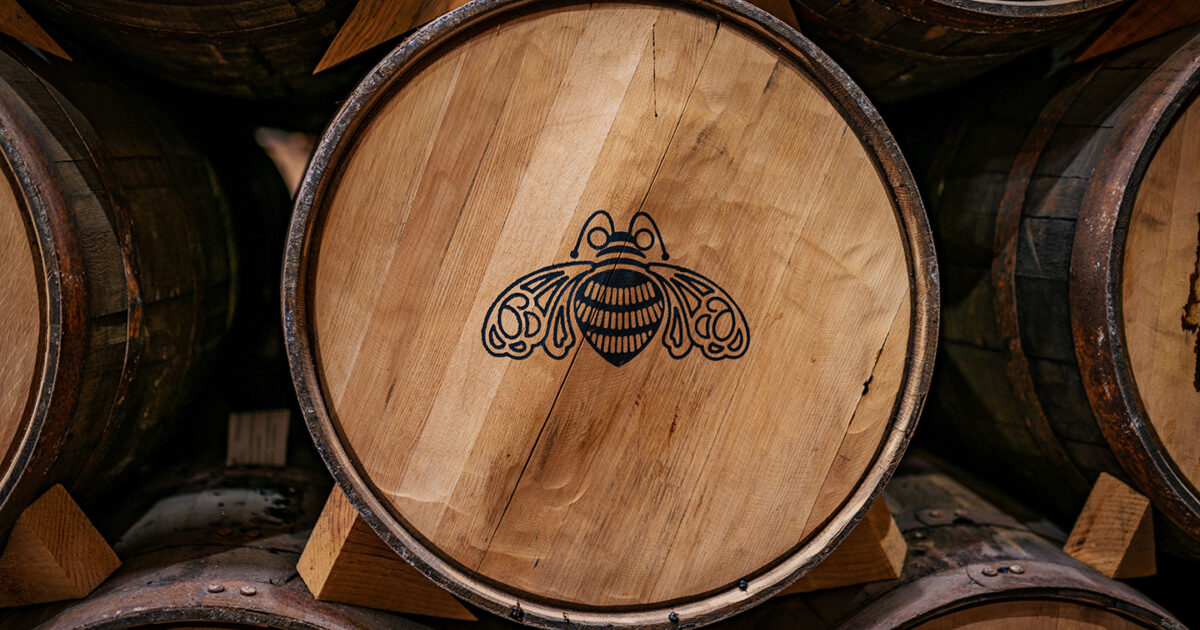 Academia Patrón | Company Timeline